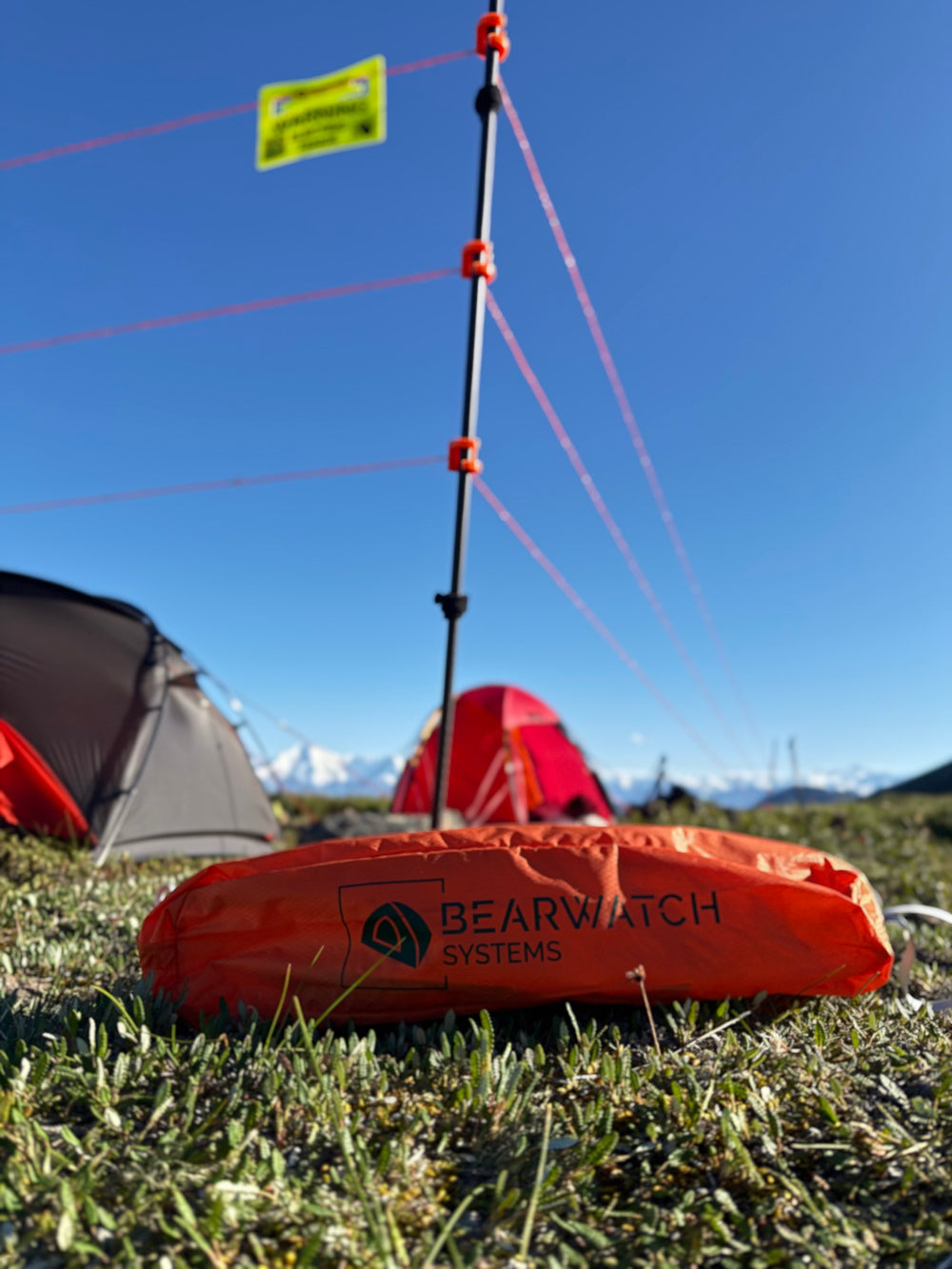 Standard Ultralight Electric Bear Fence System